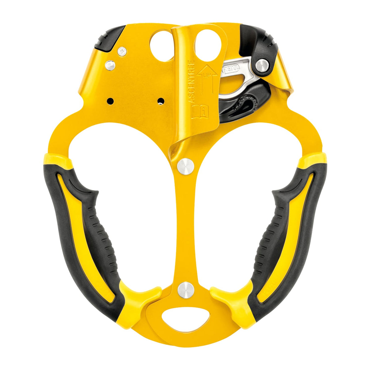 PETZL ASCENTREE: Ultimate Arborist Climbing Gear for Safety and ...